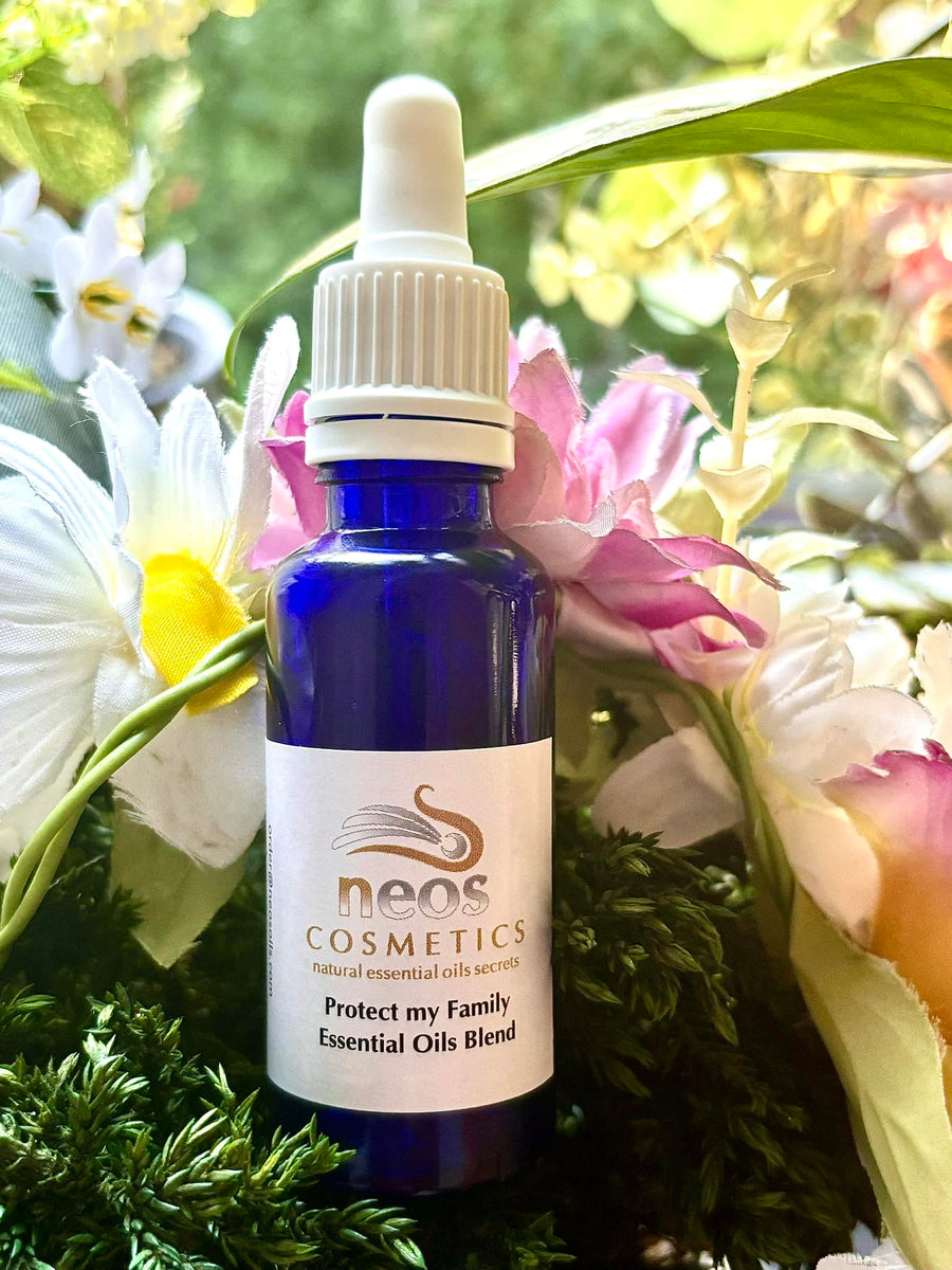 Protect My Family: the invisible shield that protects you from any neg ...