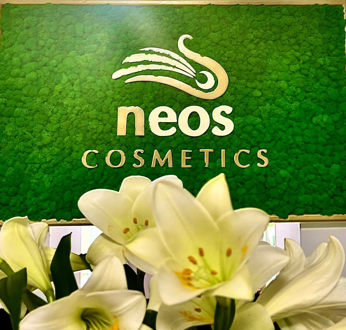 How to choose a summer cream?– NEOS OILS